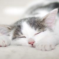 Spark发生OOM后如何分析与解决 - 知乎