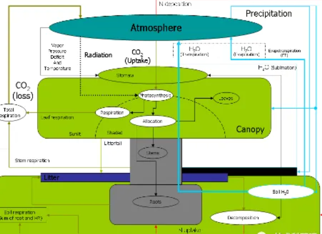 Biome-BGC生态系统模型与Python融合技术 - 知乎