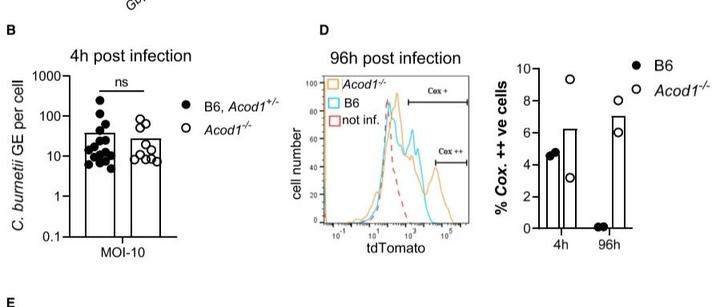 EMBO Mol Med丨14分丨巨噬细胞通过 ACOD1-衣康酸途径抑制伯氏柯克斯体以遏制 Q 热 - 知乎