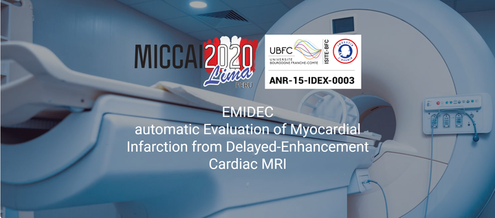EMIDEC 数据集介绍 - 知乎