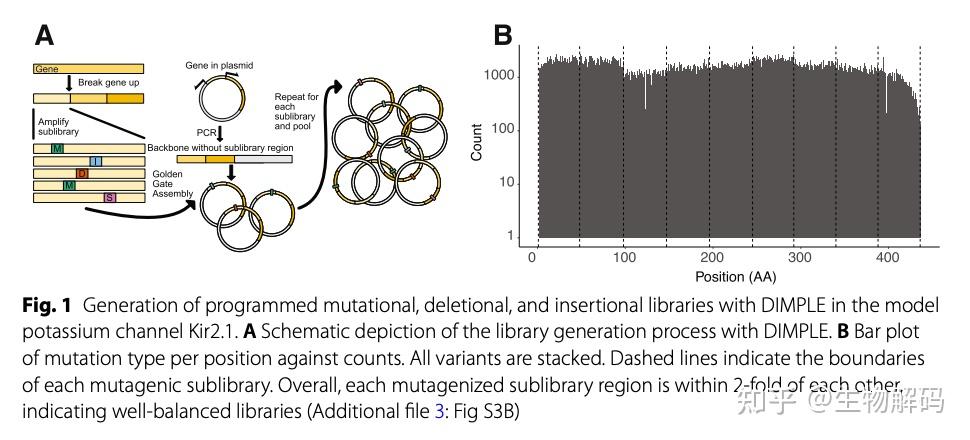 每日文摘 | 2023年02月27日 - 知乎