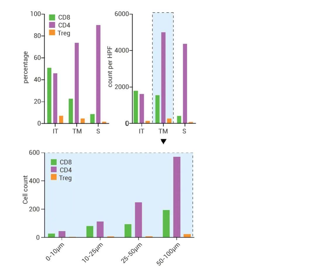 多重荧光免疫组化技术 (mIHC) 的原理什么，与 IHC 和 IF 有何区别？ - 知乎