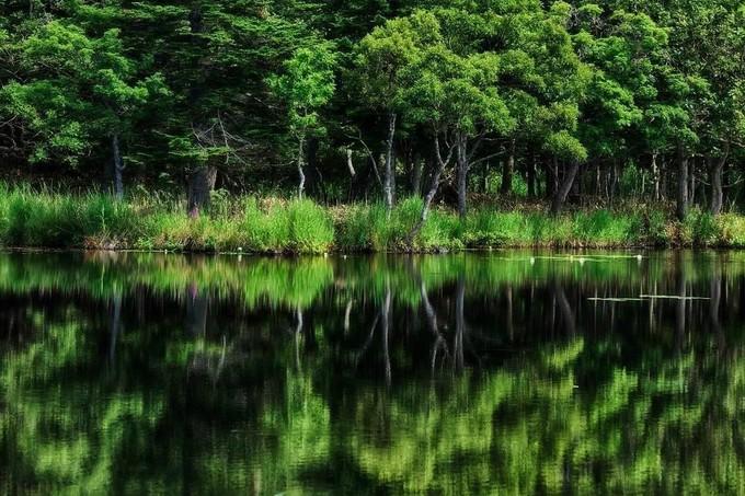 北海道道东||好多人去北海道，我去的是秘境 - 知乎