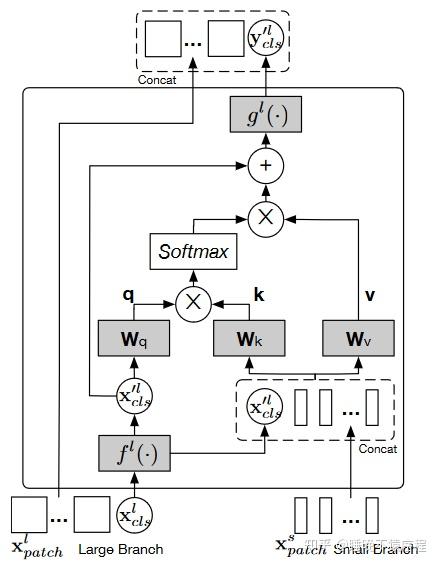 【论文阅读】crossvit Cross Attention Multi Scale Vision Transformer For Image Classification 知乎
