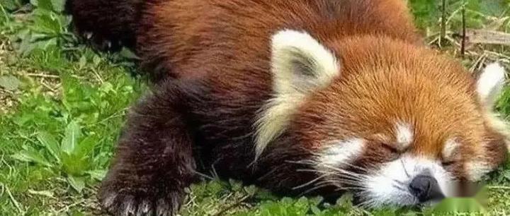 url转义字符 - 知乎