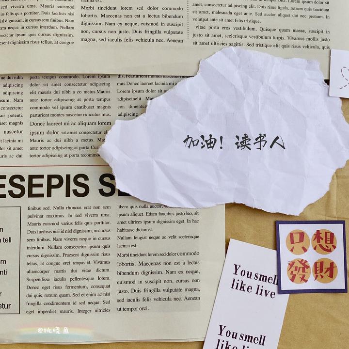 《Enhancing Protein Language Models with Structure-based Encoder and Pre ...