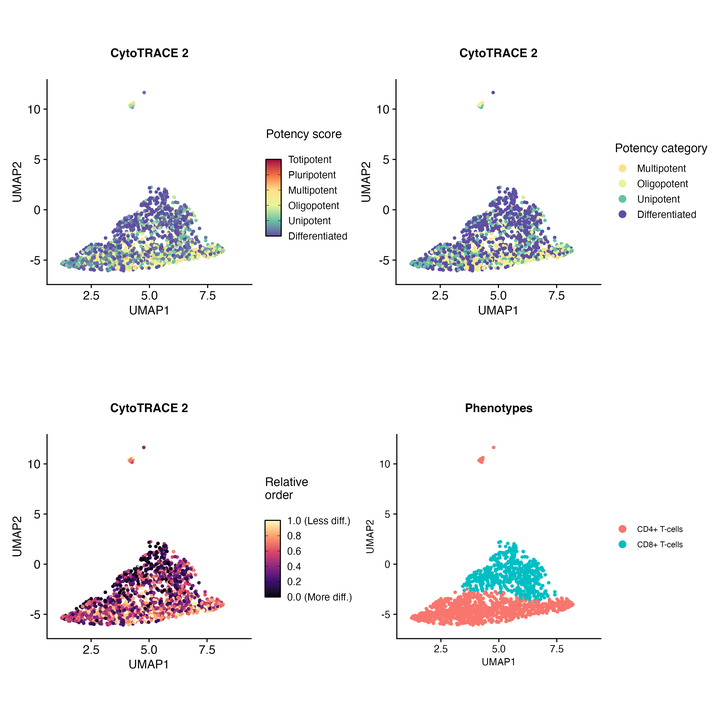 CytoTRACE2可视化进阶(修改坐标维持umap图前后一致) - 知乎