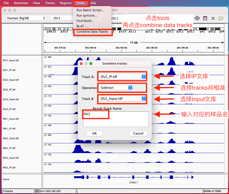 深入解析IGV基因组浏览器：igvtools快速 - 知乎