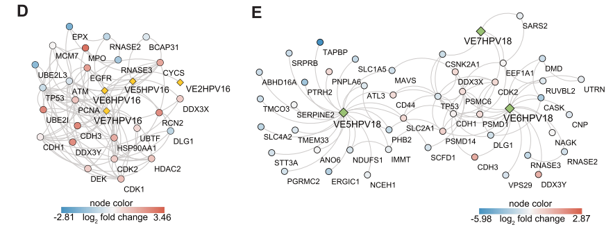 深度解析宿主-病毒互作奥秘 | STRING Viruses数据库如何助力感染性疾病研究？ - 知乎