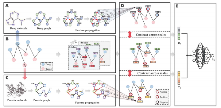 论文笔记7|Predicting drug–target binding affinity with cross-scale graph ...
