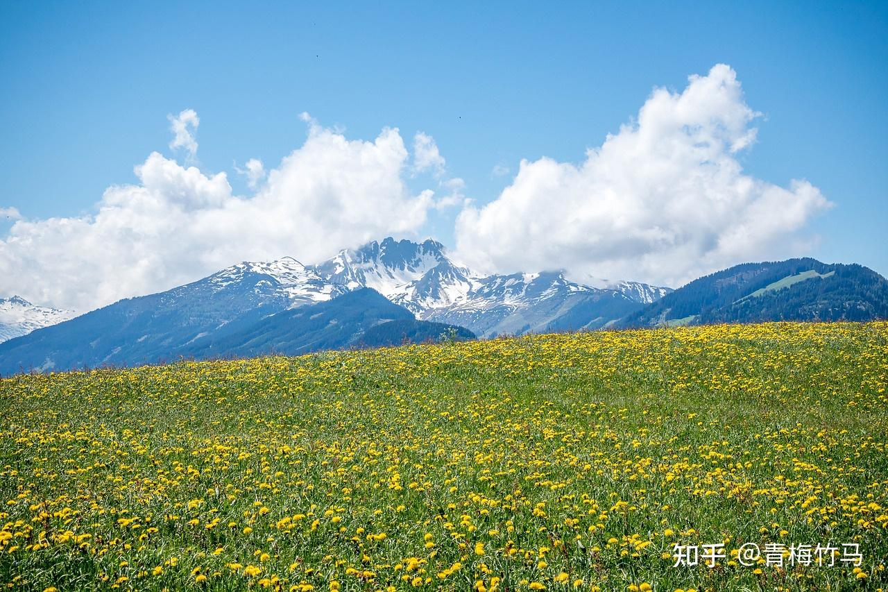 PaperFree论文检测怎么样？ - 知乎