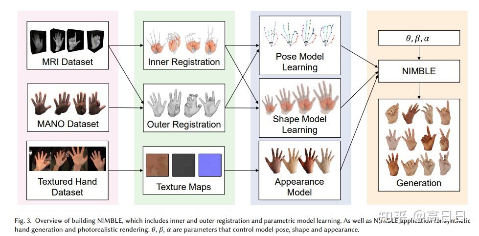 数字人基础 | 3D手部参数化模型2017-2023 - 知乎