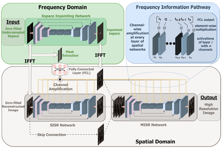 医学图像重建一：CDF-Net: Cross-Domain Fusion Network for Accelerated MRI ...