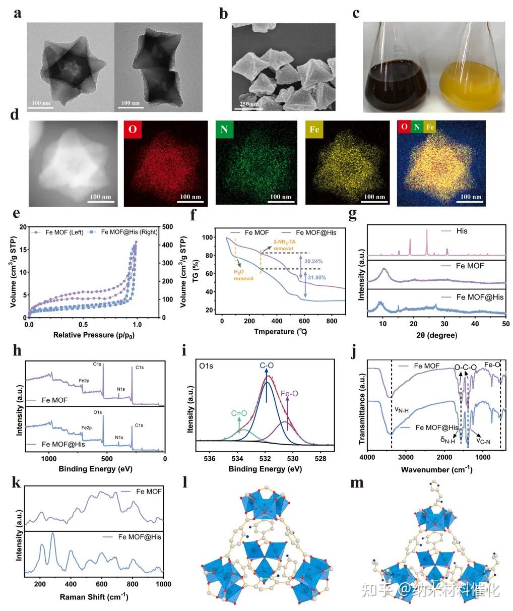 【Nano Today】精确模拟脂氧化酶与组氨酸协调的Fe-MOF的温度适应性抗病毒保护 - 知乎