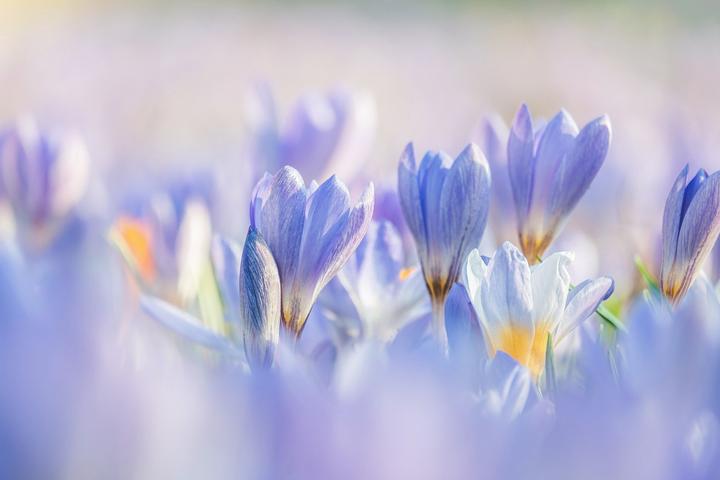 Springboot2x之整合springmvc注解initbinder处理请求参数的绑定 知乎 6116