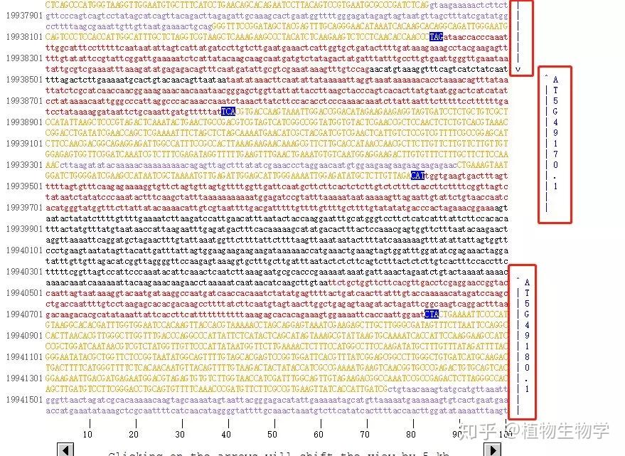 拟南芥种子订购详细攻略-TAIR-ABRC篇 - 知乎