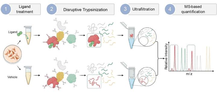 高灵敏度PELSA技术鉴定靶标蛋白质案例：代谢物作用靶蛋白及其结合位点的鉴定 - 知乎