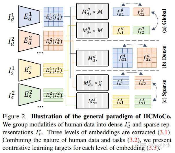 【论文笔记】Unified Human-Centric Model 系列之HCMoCo - 知乎
