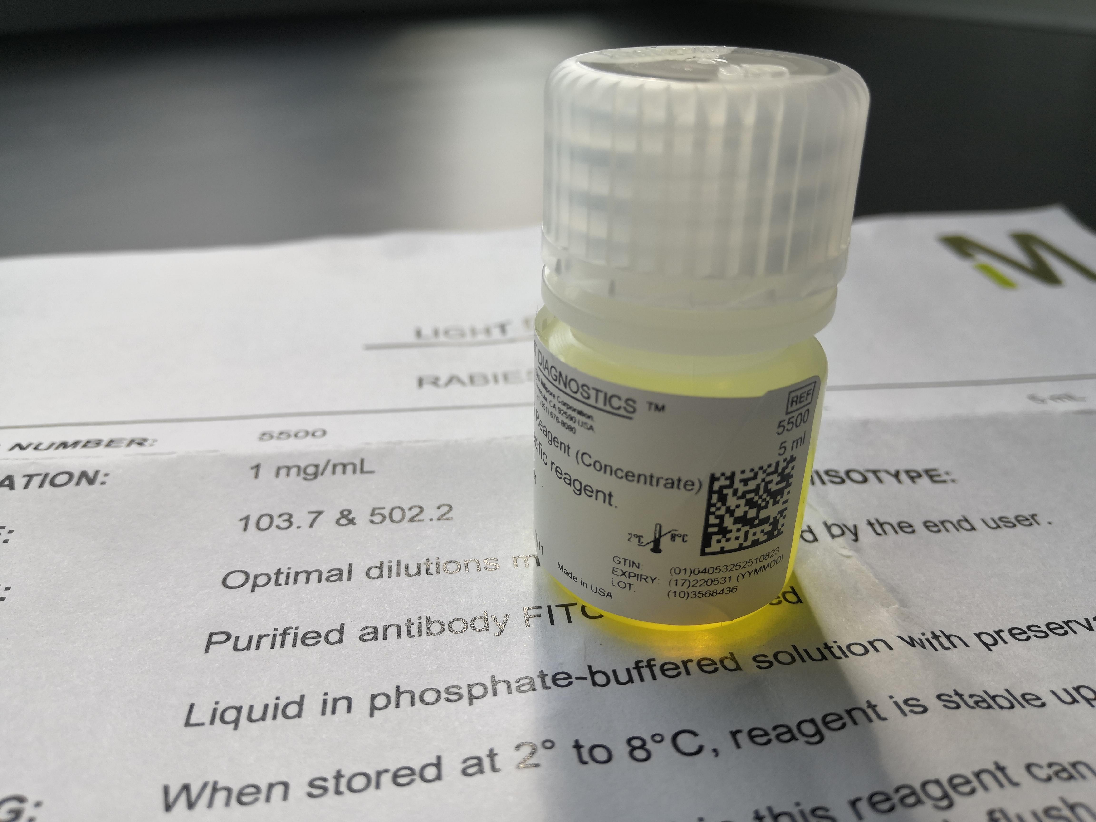 【干货分享】狂犬实验RFFIT操作程序 - 知乎