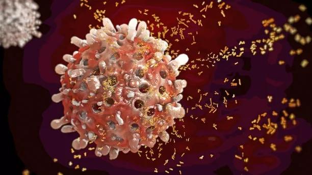 国际期刊推荐:BLOOD CANCER JOURNAL - 知乎