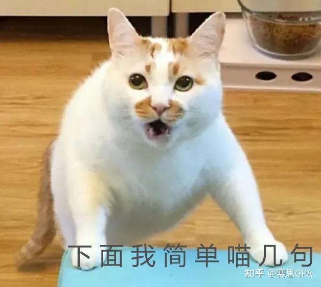 今年香港IB遍地40+，IB课程火爆程度甚至超过本土DSE！ - 知乎