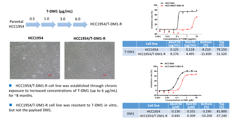 挑战肿瘤耐药难题：耐药模型构建策略与案例分享 - 知乎