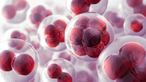 SCI期刊推荐:CELL AND BIOSCIENCE - 知乎