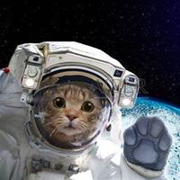 ASE（四）：python代码查看/建立结构 - 知乎