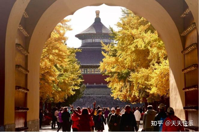 金色的北京 Golden Dreamlike Beijing - 知乎