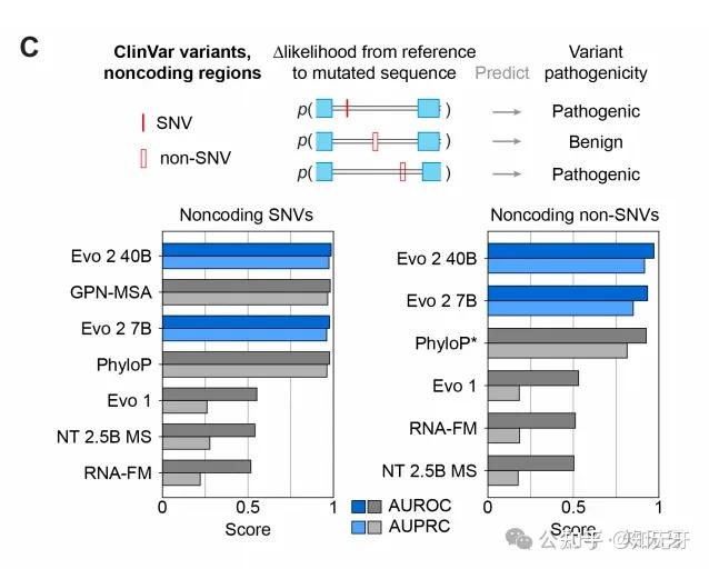 Evo2：跨生命领域的基因组“造物主”模型 - 知乎