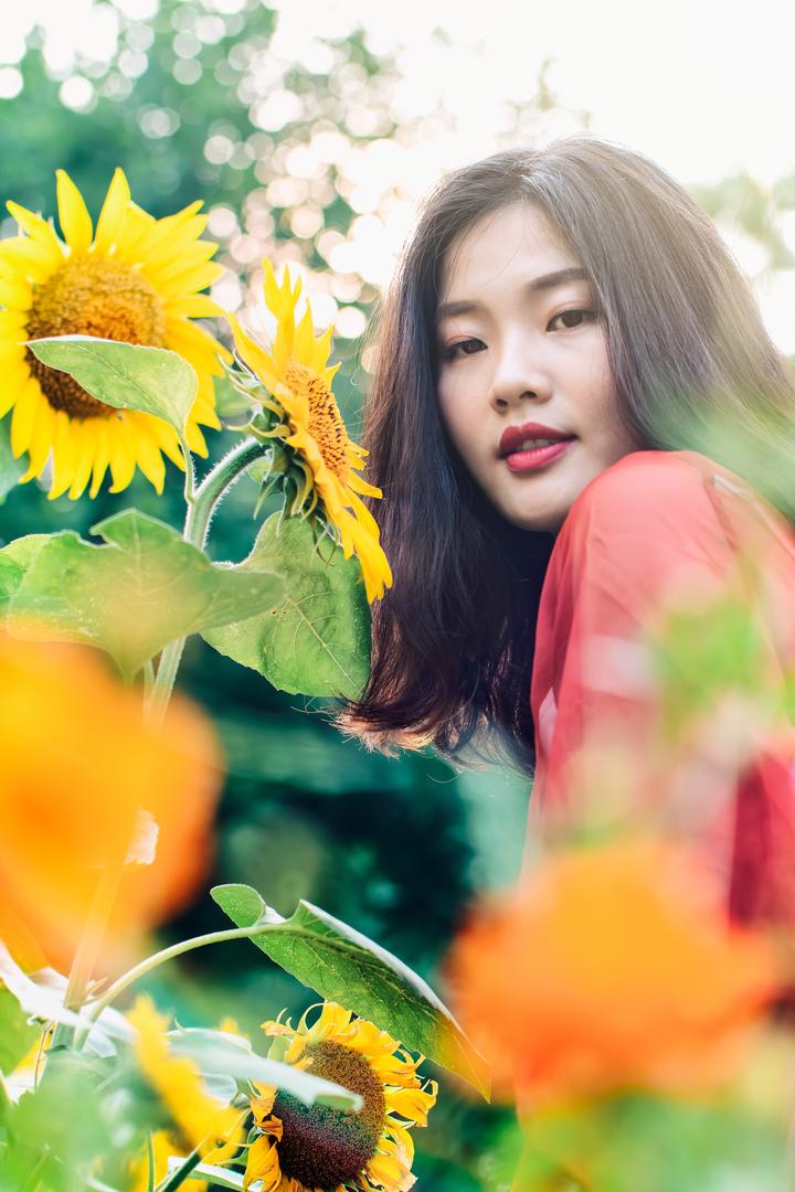 【openllm 011】chatpixiu项目 可能是全网最全的chatgpt复现调研:60开源chatgpt平替项目,20基础模型,8 4441