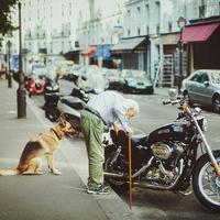 ansys问题解决1：The FLUENT application failed to validate the connection - 知乎