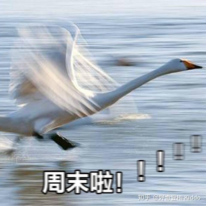 “在周末”是 AT the weekend 还是 ON the weekend? - 知乎