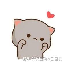 申请秘籍｜关于Argue的那些事儿（更新两名20fall真实argue案例） - 知乎