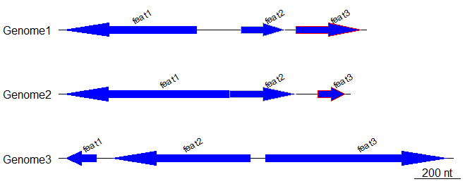 genoPlotR绘制基因组结构（Part II 添加注释对象） - 知乎