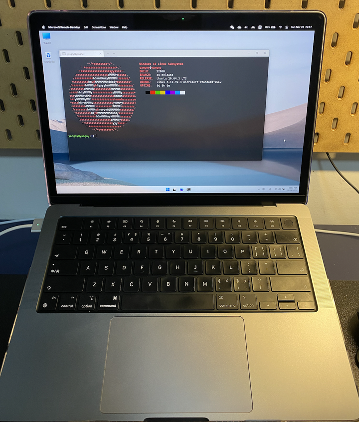 在Mac上运行win11的一种方案 - 知乎