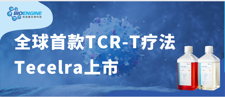 全球首款TCR-T疗法Tecelra上市，临床试验效果显著 - 知乎