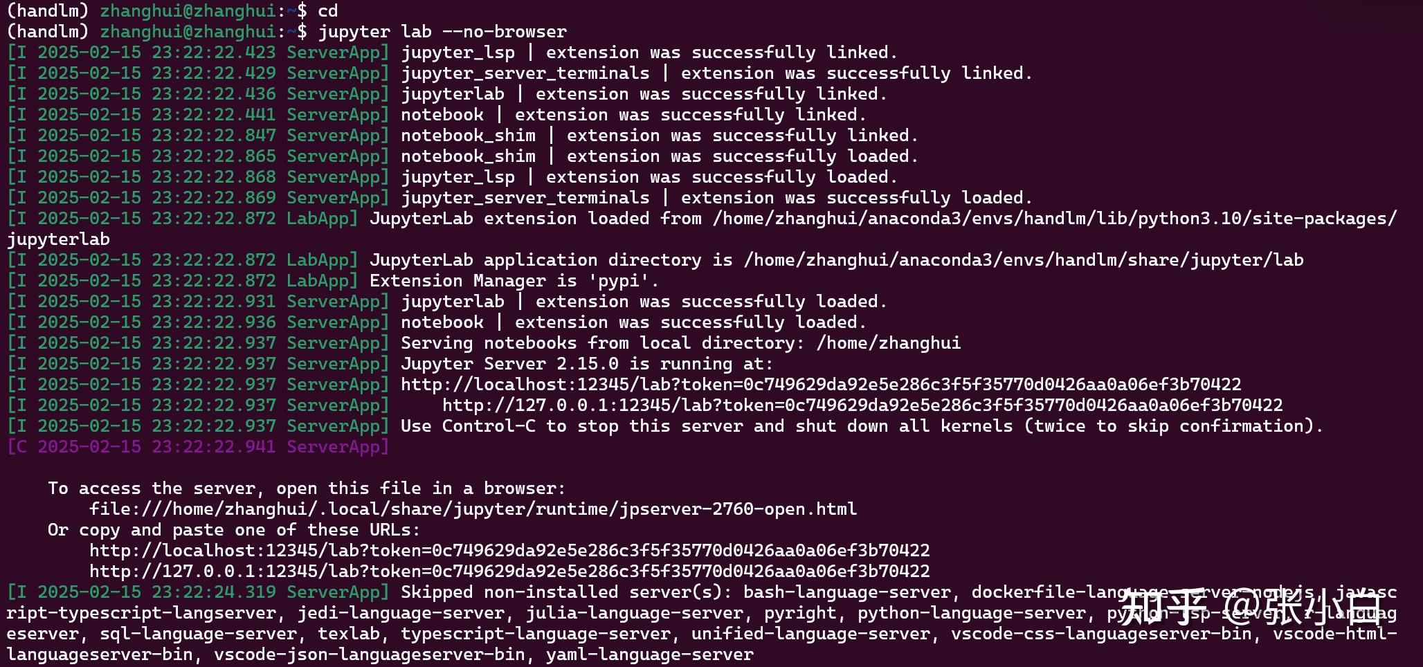 【动手学Ollama】打卡4：Ollama 在 LangChain 中的使用 - 知乎