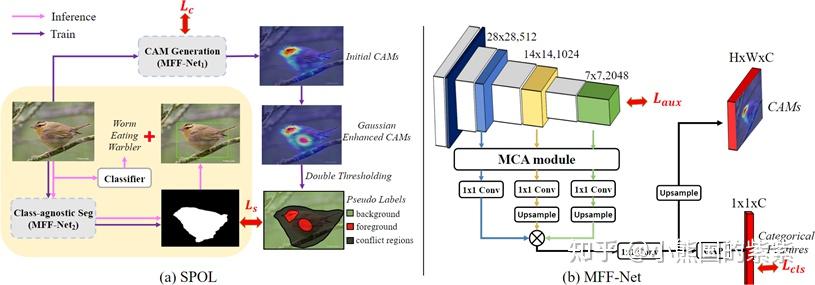 文献阅读：Shallow Feature Matters for Weakly Supervised Object Localization - 知乎