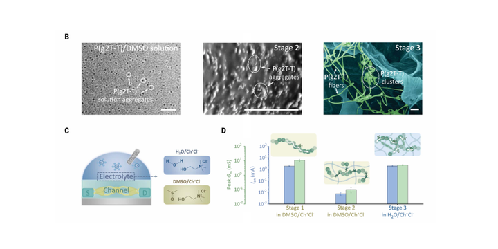 做材料学研究如何发表Science，案例解析！ - 知乎