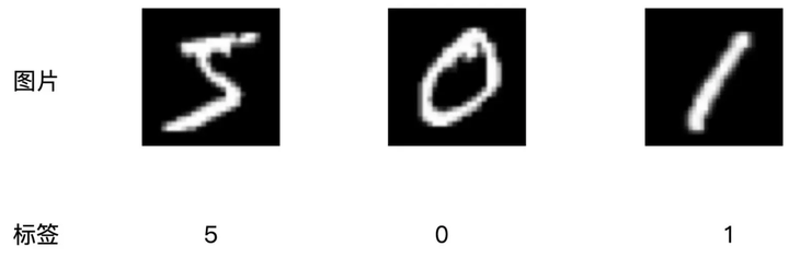 3 1 Pytorch Torchvision 01：数据读取 知乎