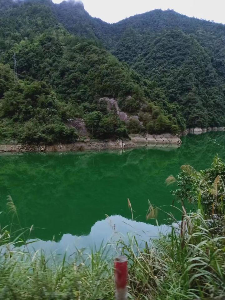 成熟女人的高级文案 知乎