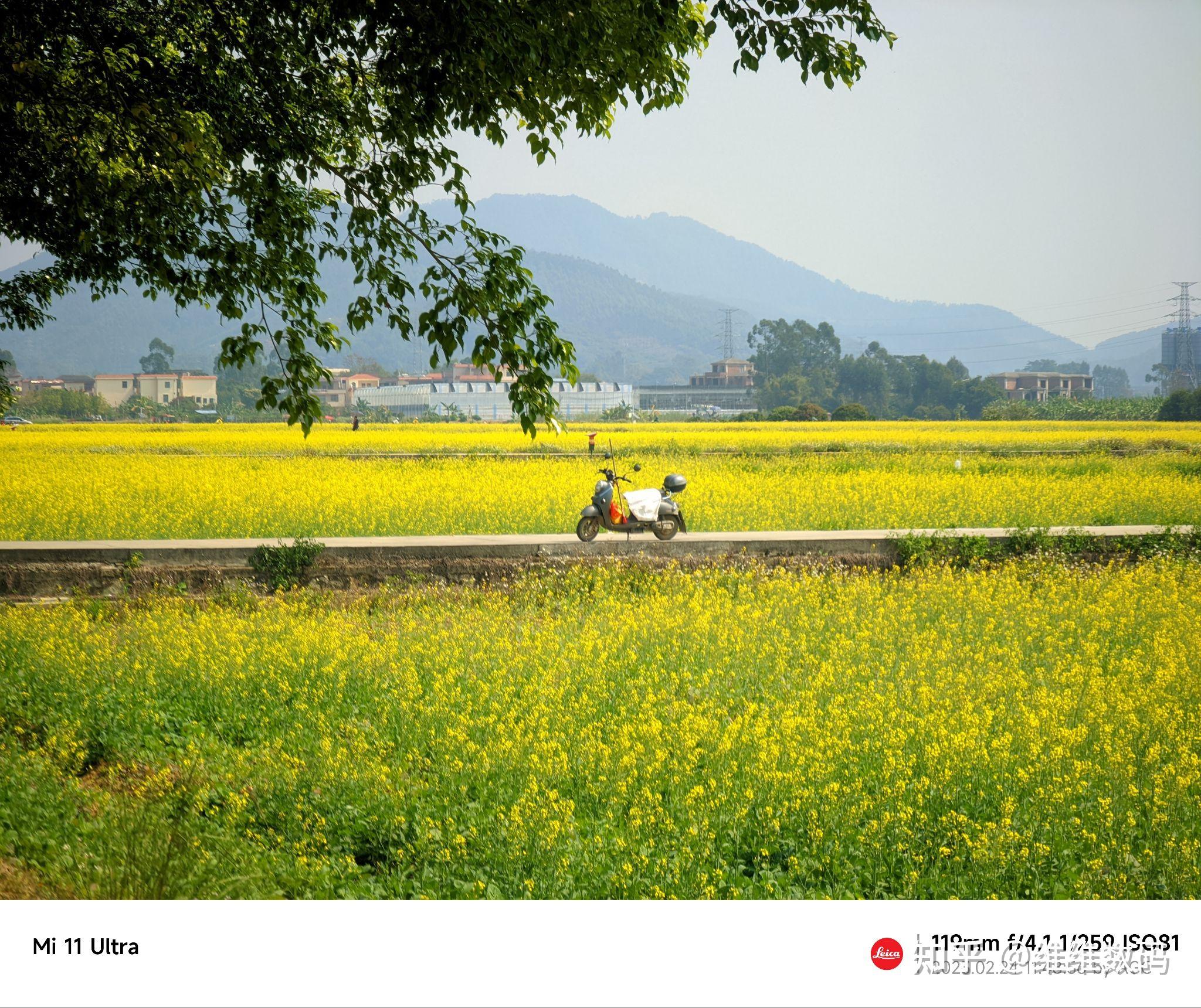 多图慎入！小米11ultra原生相机VS谷歌相机 - 知乎