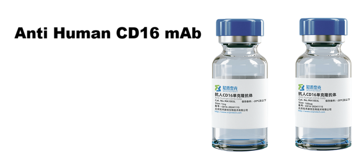 人源化抗人CD16单克隆抗体 (Anti Human CD16 mAb ) - 知乎