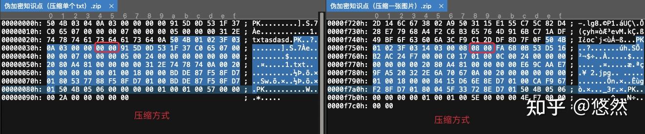 zip伪加密知识点 - 知乎