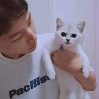 【深度解析】AmazonBASIC、VC、SC账号的区别 - 知乎