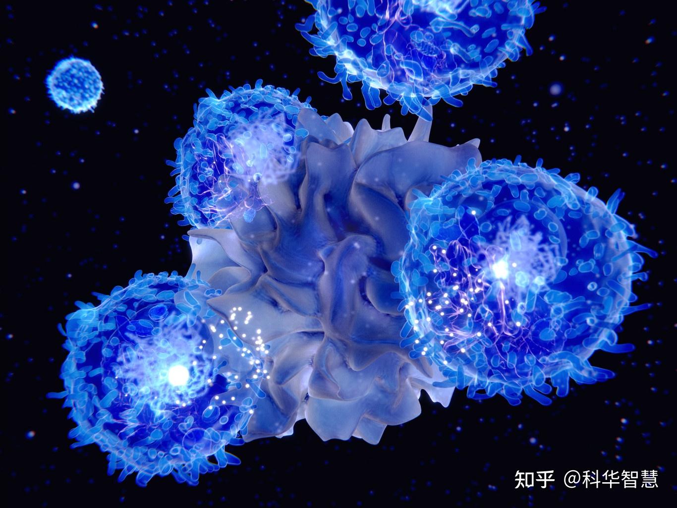 突破抗体设计瓶颈：RosettaAntibodyDesign (RAbD) 计算框架 - 知乎