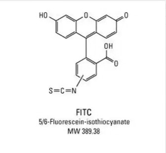 你所不知道的FITC秘密 - 知乎