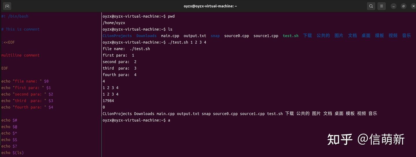 【AcWing-Linux】shell语法 - 知乎