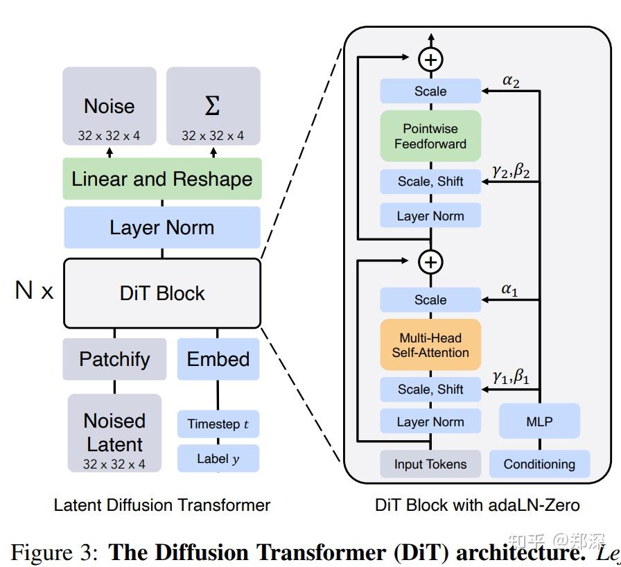 Diffusion Transformers (DiTs): 论文笔记 - 知乎